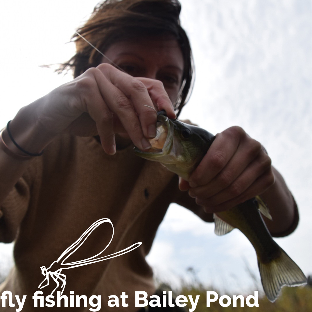 Fishing with Flies | Tryon Farm Institute