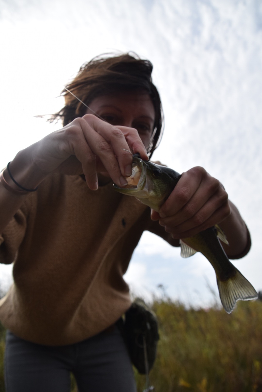 Fishing with Flies | Tryon Farm Institute