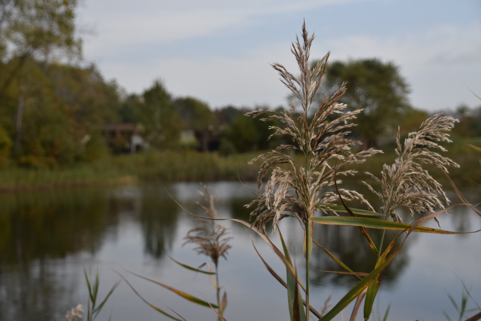 Fishing with Flies | Tryon Farm Institute
