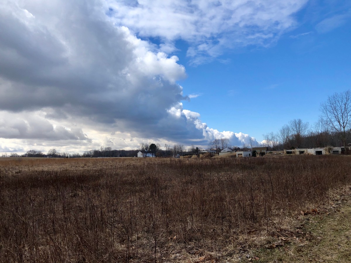 2019 Year In Review | Tryon Farm Institute